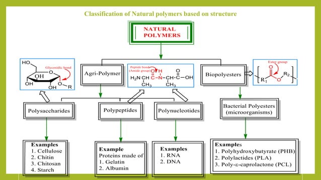 Natural polymers and adsorption properties | PPTX | Chemistry | Science