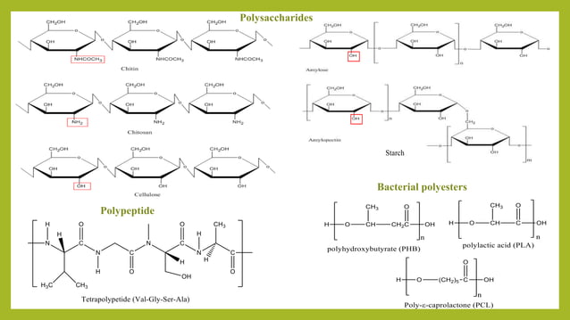 Natural polymers and adsorption properties | PPTX | Chemistry | Science