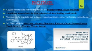 TAXANES AND PODOPHYLLOTOXINS | PPTX | Cancer | Diseases and Conditions