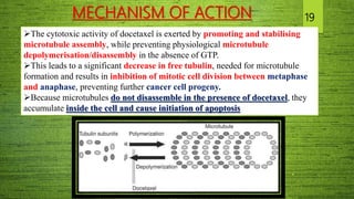 TAXANES AND PODOPHYLLOTOXINS | PPTX