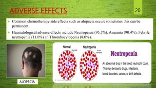 TAXANES AND PODOPHYLLOTOXINS | PPTX