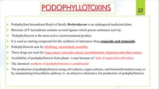 TAXANES AND PODOPHYLLOTOXINS | PPTX