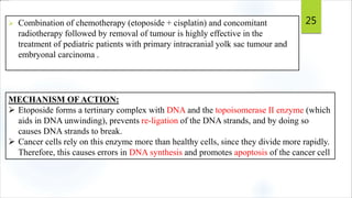 TAXANES AND PODOPHYLLOTOXINS | PPTX