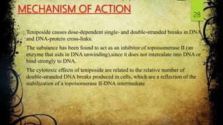 TAXANES AND PODOPHYLLOTOXINS | PPTX