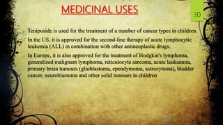 TAXANES AND PODOPHYLLOTOXINS | PPTX
