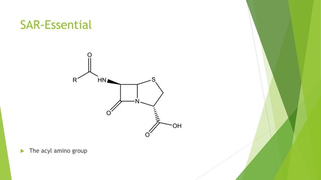 Natural product based drug discovery and SAR studies | PPT