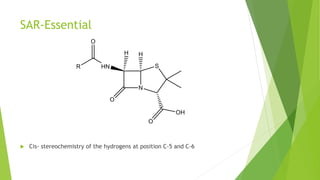 Natural product based drug discovery and SAR studies | PPT
