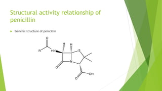 Natural product based drug discovery and SAR studies | PPT