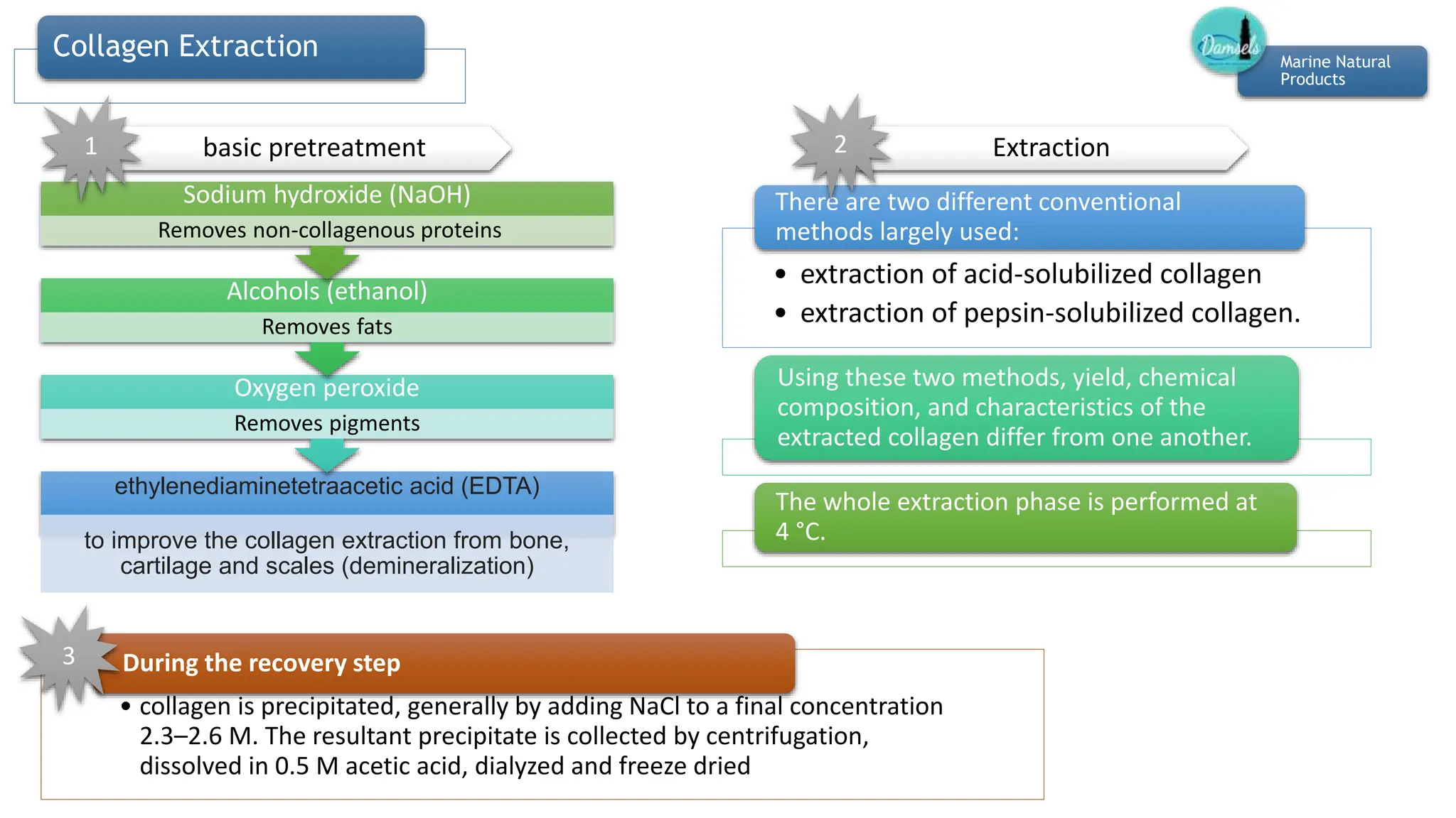 natural products from marine species.pptx