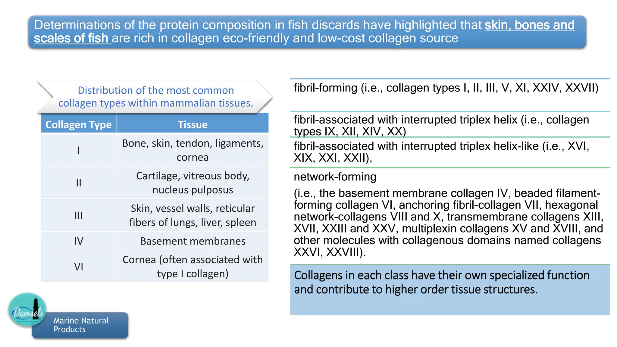 natural products from marine species.pptx