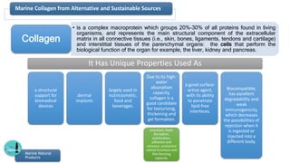 natural products from marine species.pptx