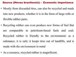 Natural Products- Rubber.pptx