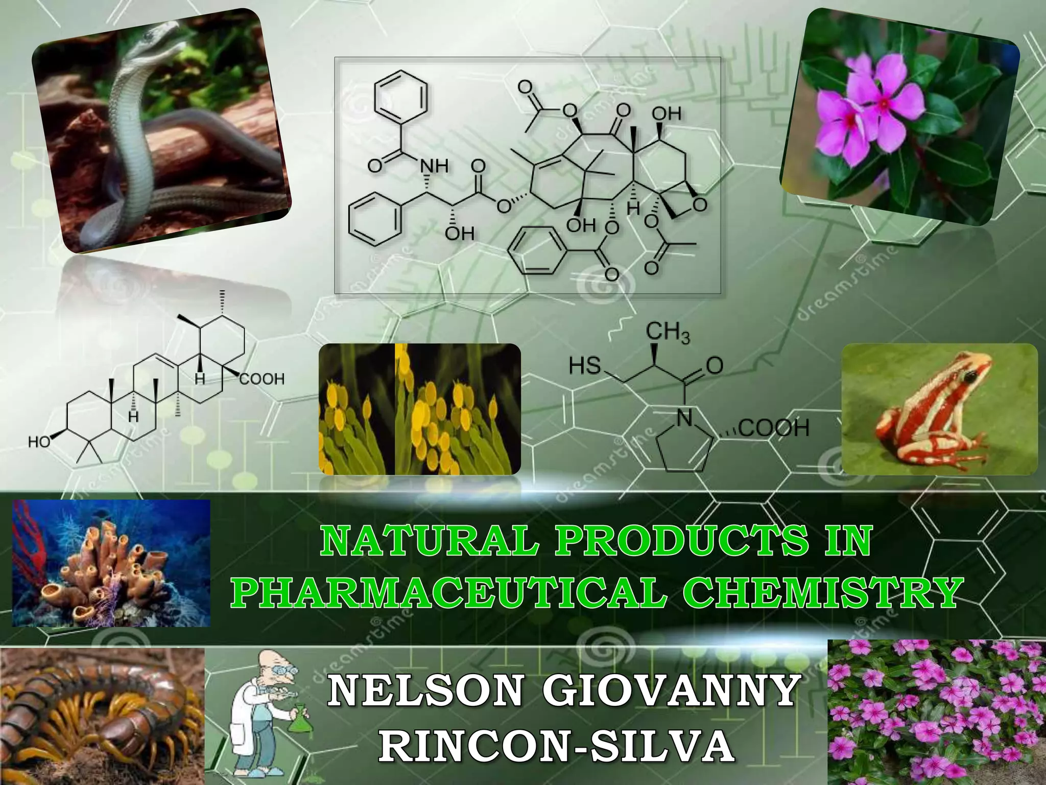Natural products in pharmaceutical chemistry Nelson giovanny rincon ...