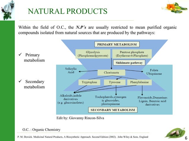 Natural products in pharmaceutical chemistry Nelson giovanny rincon ...