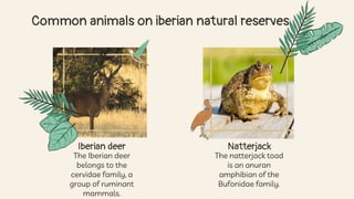 Natural Reserves.pptx