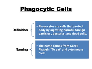Natural resistance of body against infection | PPT