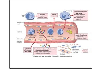 Natural resistance of body against infection | PPT