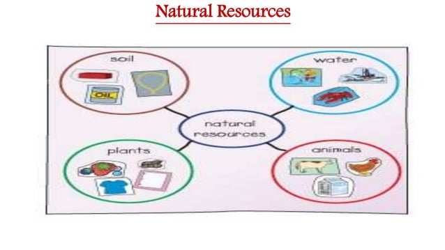 Resources & it's types | PPT