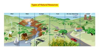 Resources & it's types | PPT