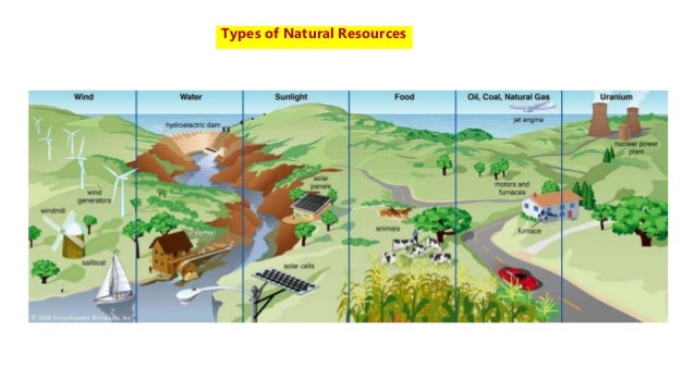 Resources & it's types