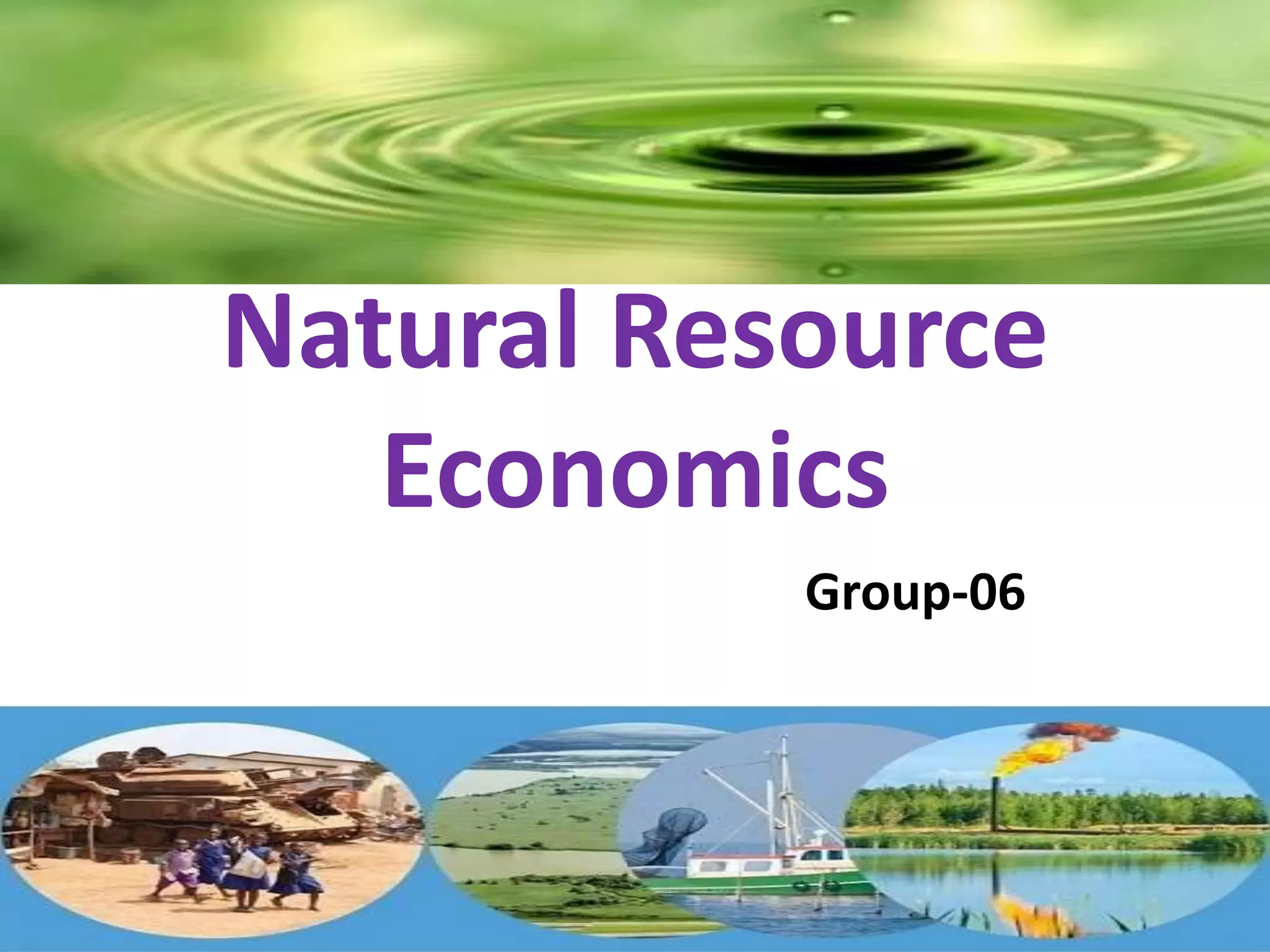 Natural resource economics | PPTX