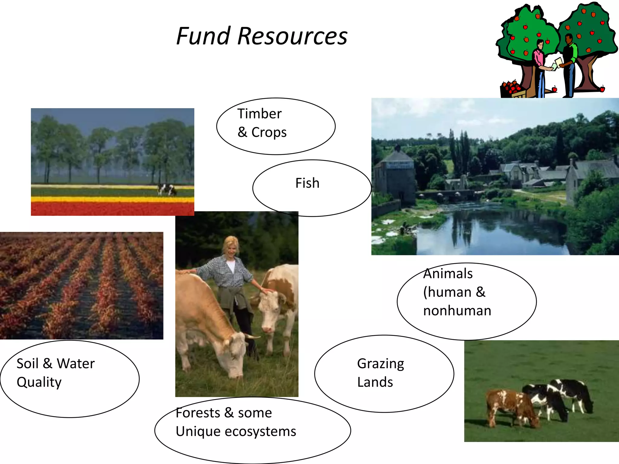 Natural resource economics | PPTX