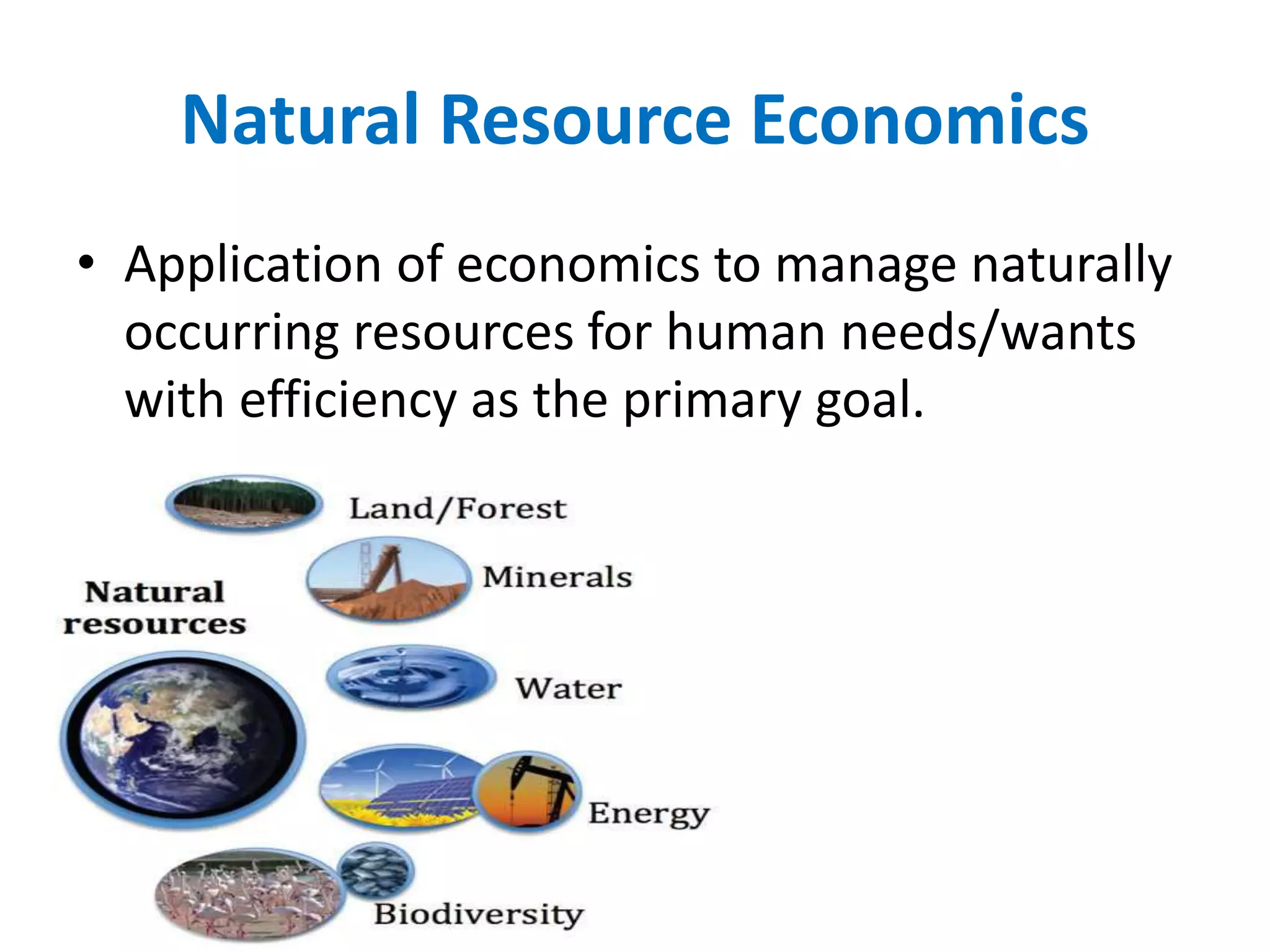Natural resource economics | PPTX