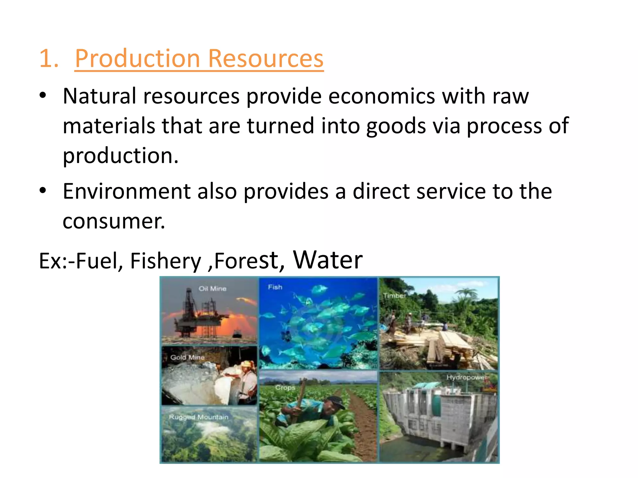 Natural resource economics | PPTX