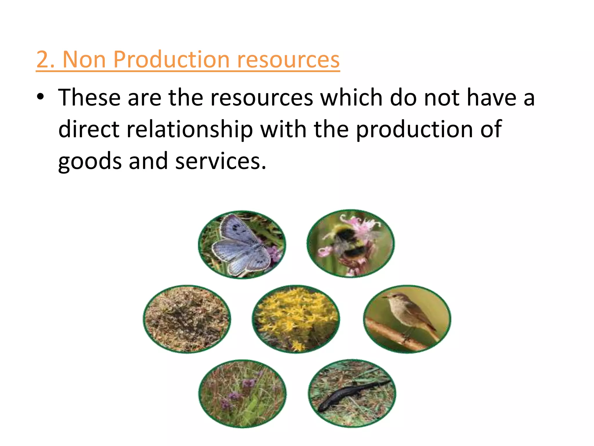 Natural resource economics | PPTX