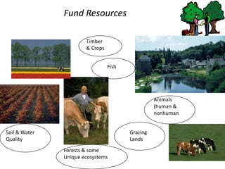Natural resource economics | PPTX