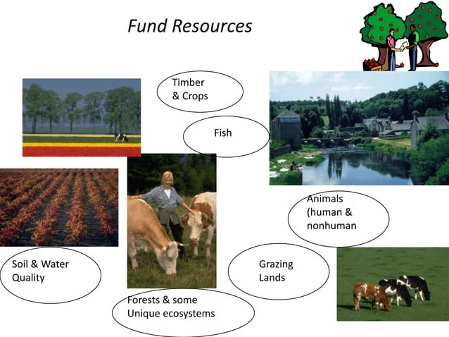 Natural resource economics | PPTX | Environmental Services Industry ...