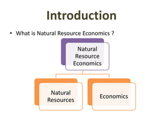 Natural resource economics | PPTX