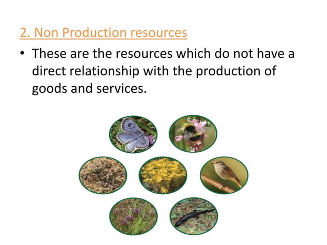 Natural resource economics | PPTX | Environmental Services Industry ...