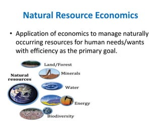 Resources In Economics