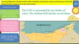Natural Resource in UAE FOR GRDE 2(1).pptx