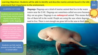 Natural Resource in UAE FOR GRDE 2(1).pptx