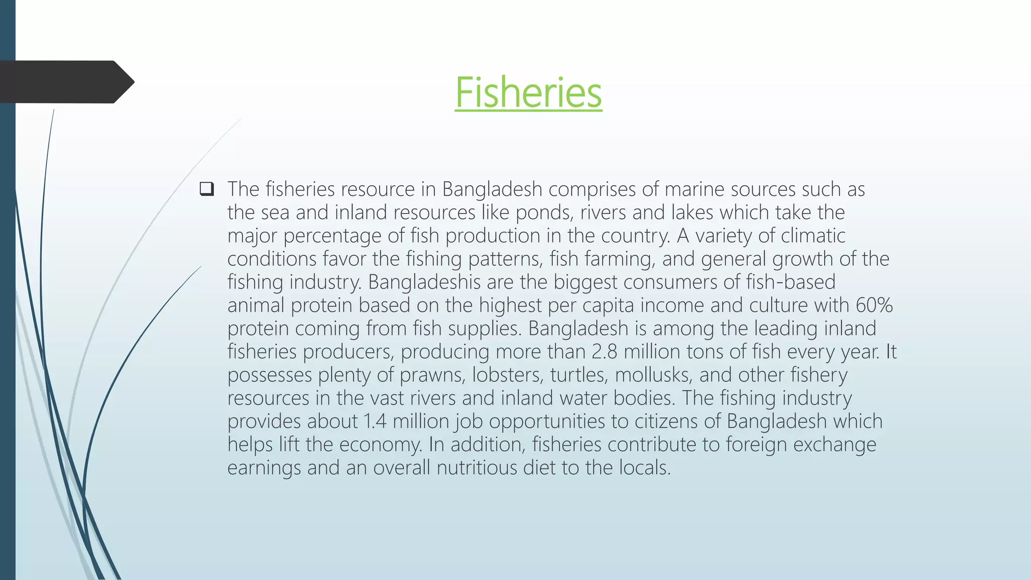 Natural resource of bangladesh | PPTX
