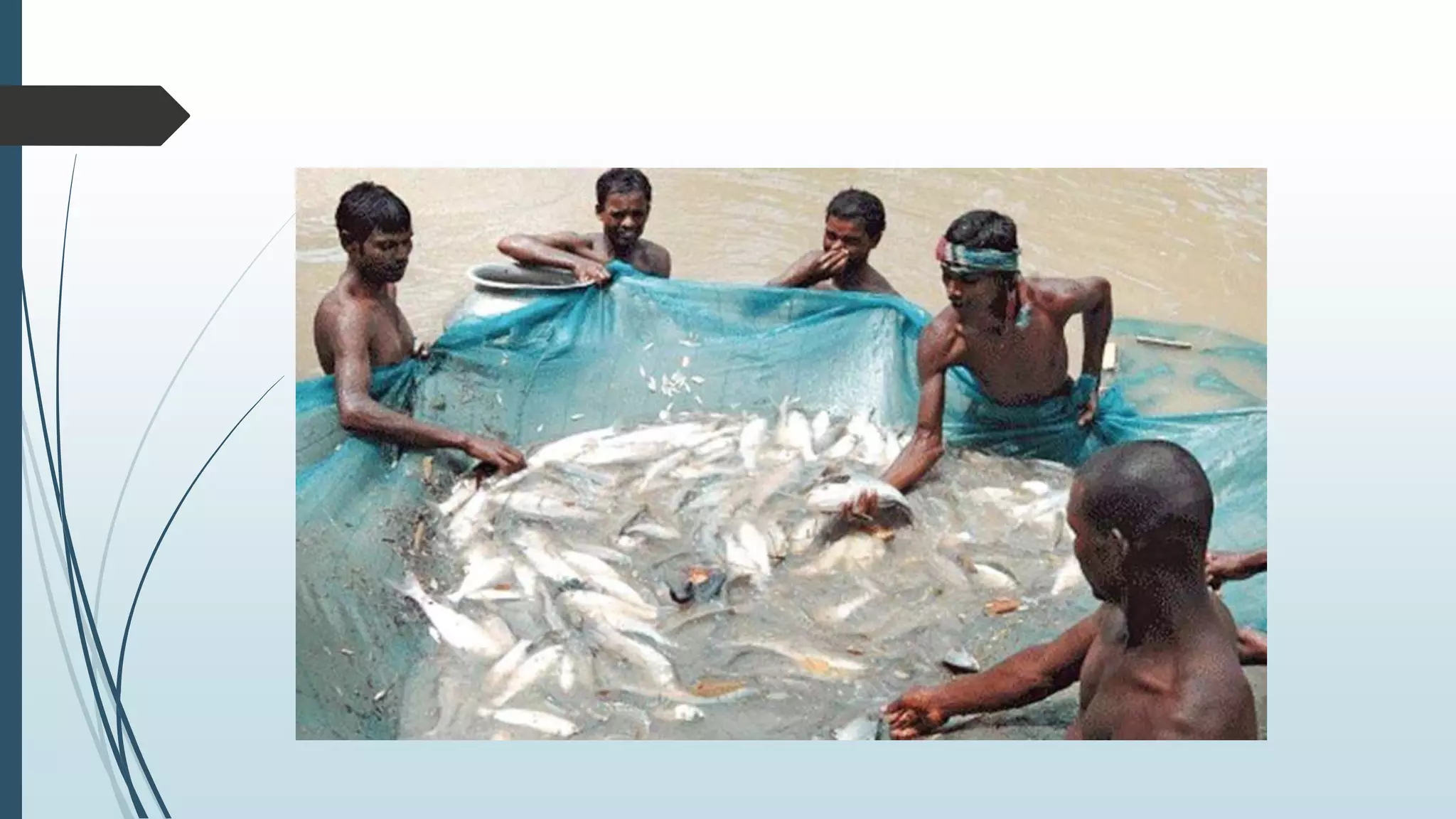 Natural resource of bangladesh | PPTX