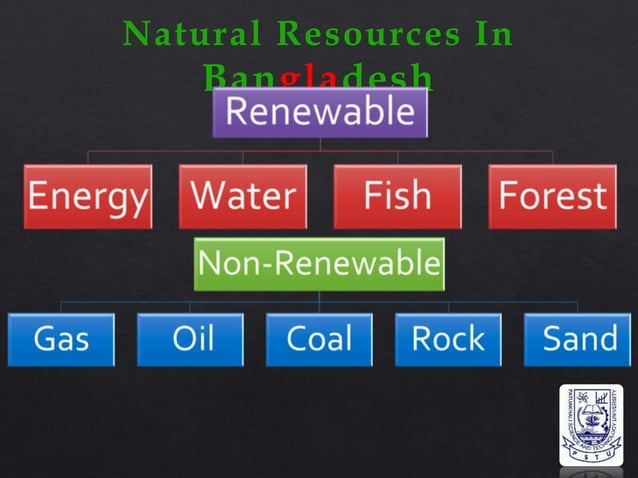 Natural resource profile of bangladesh | PPTX | Commodities | Economy