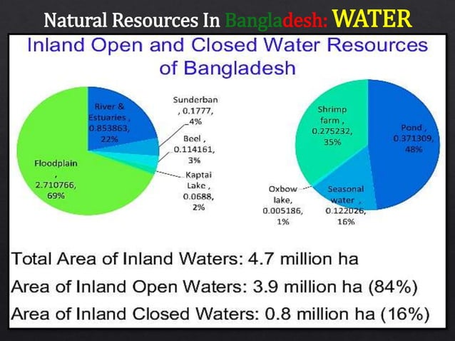 Natural resource profile of bangladesh | PPTX | Commodities | Economy