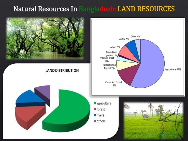 Natural resource profile of bangladesh | PPTX | Commodities | Economy