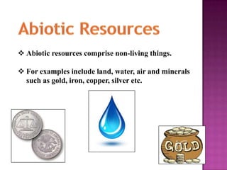 Natural resources | PPTX