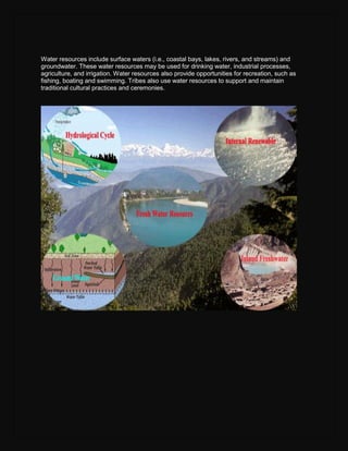 Natural Resources | PDF