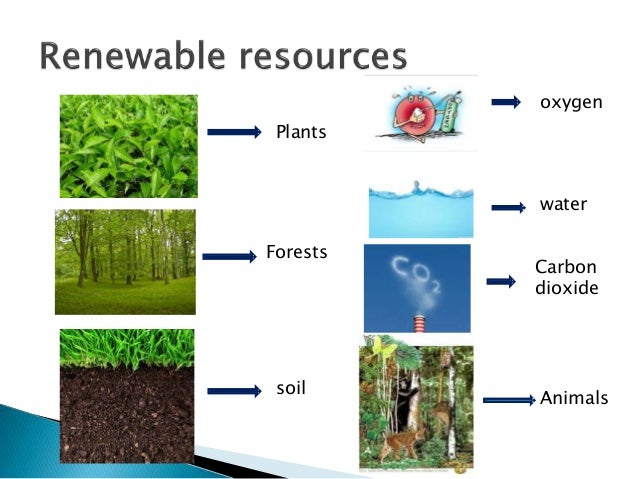 Natural resources /ICSE 5th class syllabus
