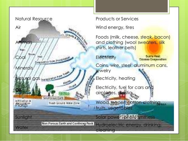 😍 Biotic resources and abiotic resources. What are biotic resources ...