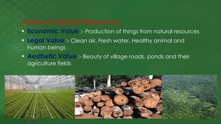 Natural resources | PPTX