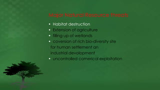 Natural resources | PPTX