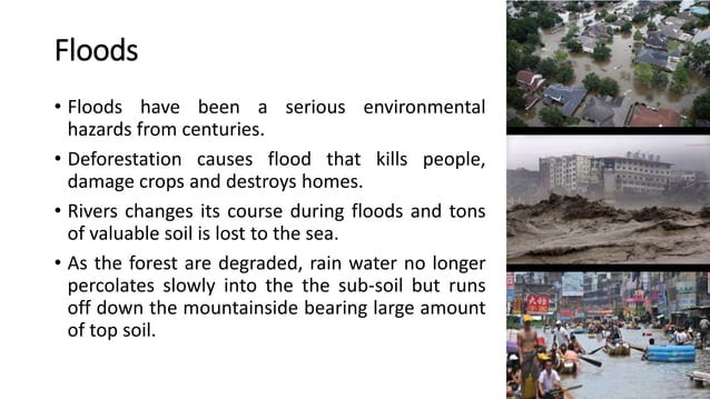 Natural resources | PPTX