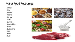 Natural resources | PPTX