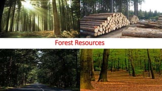 Natural resources | PPTX